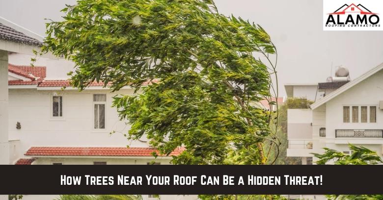 How Trees Near Your Roof Can Be a Hidden Threat! - Alamo Roofing ...